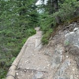 Heart Creek Trail, Alberta, Canada - 3,749 Reviews, Map | AllTrails