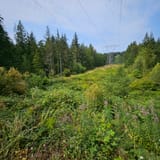 Tradition Lake Loop Trail, Washington - 1,643 Reviews, Map | AllTrails