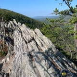Buzzard Rock, Virginia - 1,859 Reviews, Map | AllTrails