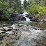 Cedar Falls Trail, Washington - 416 Reviews, Map | AllTrails