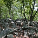 The Pinnacle, Pennsylvania - 558 Reviews, Map | AllTrails