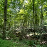 The Pinnacle, Pennsylvania - 558 Reviews, Map | AllTrails