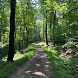 The Pinnacle, Pennsylvania - 558 Reviews, Map | AllTrails