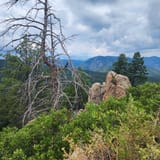 Carpenter Peak Trail, Colorado - 3,716 Reviews, Map | AllTrails