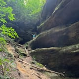 Rock Bridge and Lower Swift Camp Creek Trail, Kentucky - 616 Reviews ...