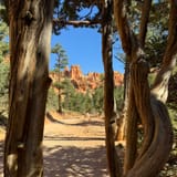 Navajo Loop Trail, Utah - 4,788 Reviews, Map | AllTrails