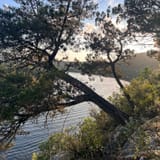 Lake Austin/360 Bridge Overlook, Texas - 534 Reviews, Map | AllTrails