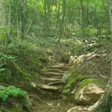 Imp Ledges Trail, New Hampshire - 543 Reviews, Map | AllTrails