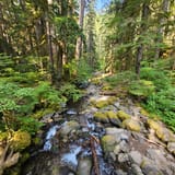 Silver Falls Loop, Washington - 3,513 Reviews, Map | AllTrails