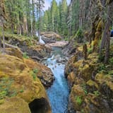 Silver Falls Loop, Washington - 3,513 Reviews, Map | AllTrails