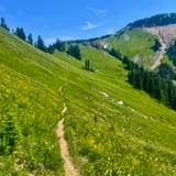 Tatoosh Ridge Trail, Washington - 443 Reviews, Map | AllTrails