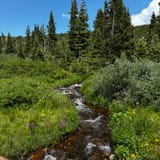 Loch Lomond Trail, Colorado - 2,873 Reviews, Map | AllTrails