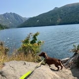 Coldwater Lake via Lakes Trail, Washington - 974 Reviews, Map | AllTrails