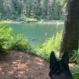 Spider Lake Trail, Washington - 240 Reviews, Map | AllTrails
