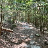 Lye Brook Falls Trail, Vermont - 3,266 Reviews, Map | AllTrails