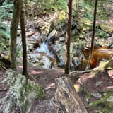 Lye Brook Falls Trail, Vermont - 3,275 Reviews, Map | AllTrails
