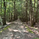 Lye Brook Falls Trail, Vermont - 3,275 Reviews, Map | AllTrails