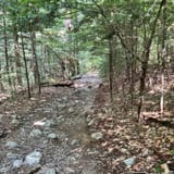 Lye Brook Falls Trail, Vermont - 3,275 Reviews, Map | AllTrails