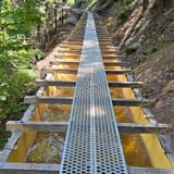 Lyons Dam, California - 561 Reviews, Map | AllTrails