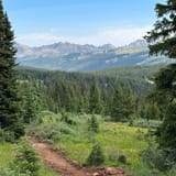 Shrine Ridge Trail, Colorado - 3,318 Reviews, Map | AllTrails