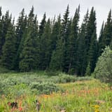 Shrine Ridge Trail, Colorado - 3,318 Reviews, Map | AllTrails