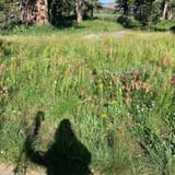 Round Top Peak via Kit Carson Pass, California - 308 Reviews, Map | AllTrails