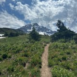 McNeil Point Trail, Oregon - 2,968 Reviews, Map | AllTrails