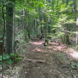 Brook and Boulder Trail, New Hampshire - 1,383 Reviews, Map | AllTrails