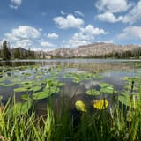 Ruth Lake Trail, Utah - 495 Reviews, Map | AllTrails