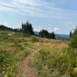 Hidden Falls via Tarbell Trail , Washington - 675 Reviews, Map | AllTrails