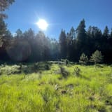 Cabin Loop Trail, Arizona - 244 Reviews, Map | AllTrails