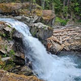 Silver Falls Loop, Washington - 3,513 Reviews, Map | AllTrails
