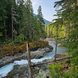 Silver Falls Loop, Washington - 3,513 Reviews, Map | AllTrails
