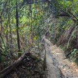 Kemensah - Bukit Pau Peak, Selangor, Malaysia - 130 Reviews, Map ...