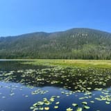Strawberry Lake, Colorado - 1,436 Reviews, Map | AllTrails
