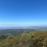 Cold Spring Loop, California - 2,548 Reviews, Map | AllTrails