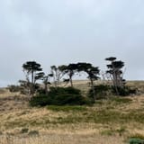 Tomales Point Trail, California - 7,274 Reviews, Map | AllTrails