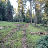 Cabin Loop Trail, Arizona - 250 Reviews, Map | AllTrails