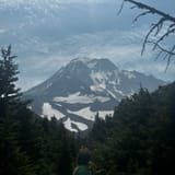 McNeil Point Trail, Oregon - 2,968 Reviews, Map | AllTrails