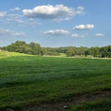 Lorimer Park Loop, Pennsylvania - 967 Reviews, Map | AllTrails