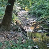 Lorimer Park Loop, Pennsylvania - 967 Reviews, Map | AllTrails