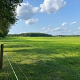 Lorimer Park Loop, Pennsylvania - 967 Reviews, Map | AllTrails