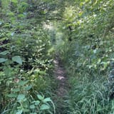 Itchen River Walk: Southampton to Winchester, Hampshire, England - 226 ...