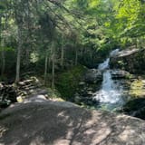 Beaver Brook Trail to Mount Moosilauke, New Hampshire - 1,382 Reviews ...