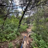 Turkey Creek Trail, Texas - 2,599 Reviews, Map | AllTrails