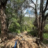 Turkey Creek Trail, Texas - 2,599 Reviews, Map | AllTrails