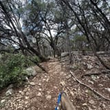 Turkey Creek Trail, Texas - 2,599 Reviews, Map | AllTrails