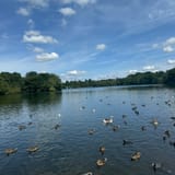 Redesmere and Capesthorne Circular, Cheshire, England - 134 Reviews ...