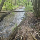 Jordan Valley Pathway, Michigan - 795 Reviews, Map | AllTrails