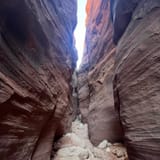 Wire Pass Trail, Utah - 3,097 Reviews, Map | AllTrails